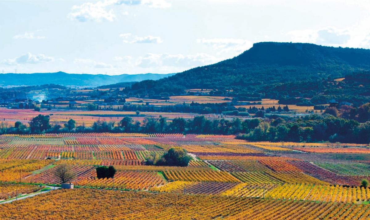 AOC Côtes du Rhône Villages Chusclan | Vins Rhône