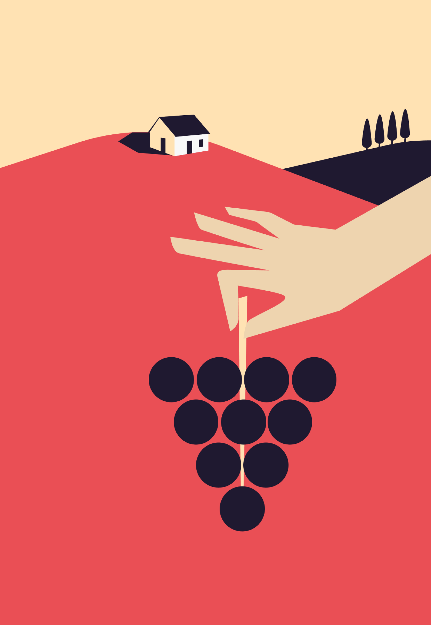 Grape varieties | Vins Rhône