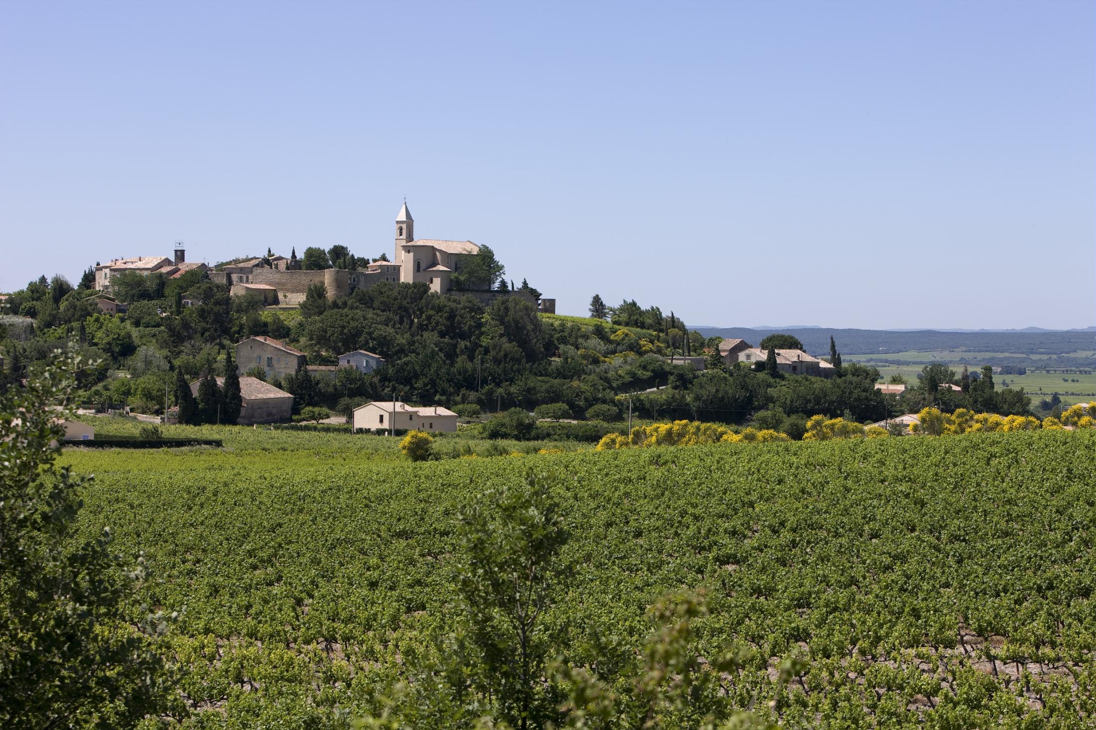 AOC Cru des Côtes du Rhône Cairanne | Vins Rhône