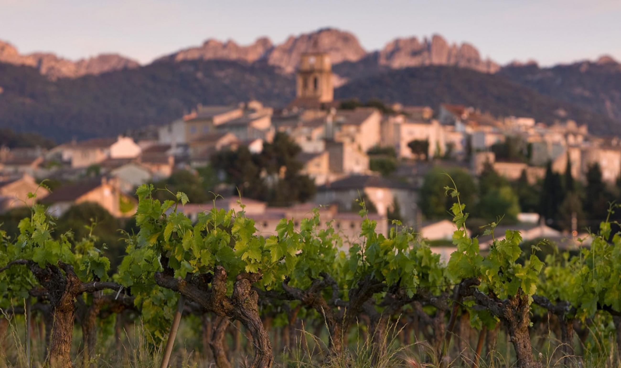 AOC Côtes du Rhône Villages | Vins Rhône
