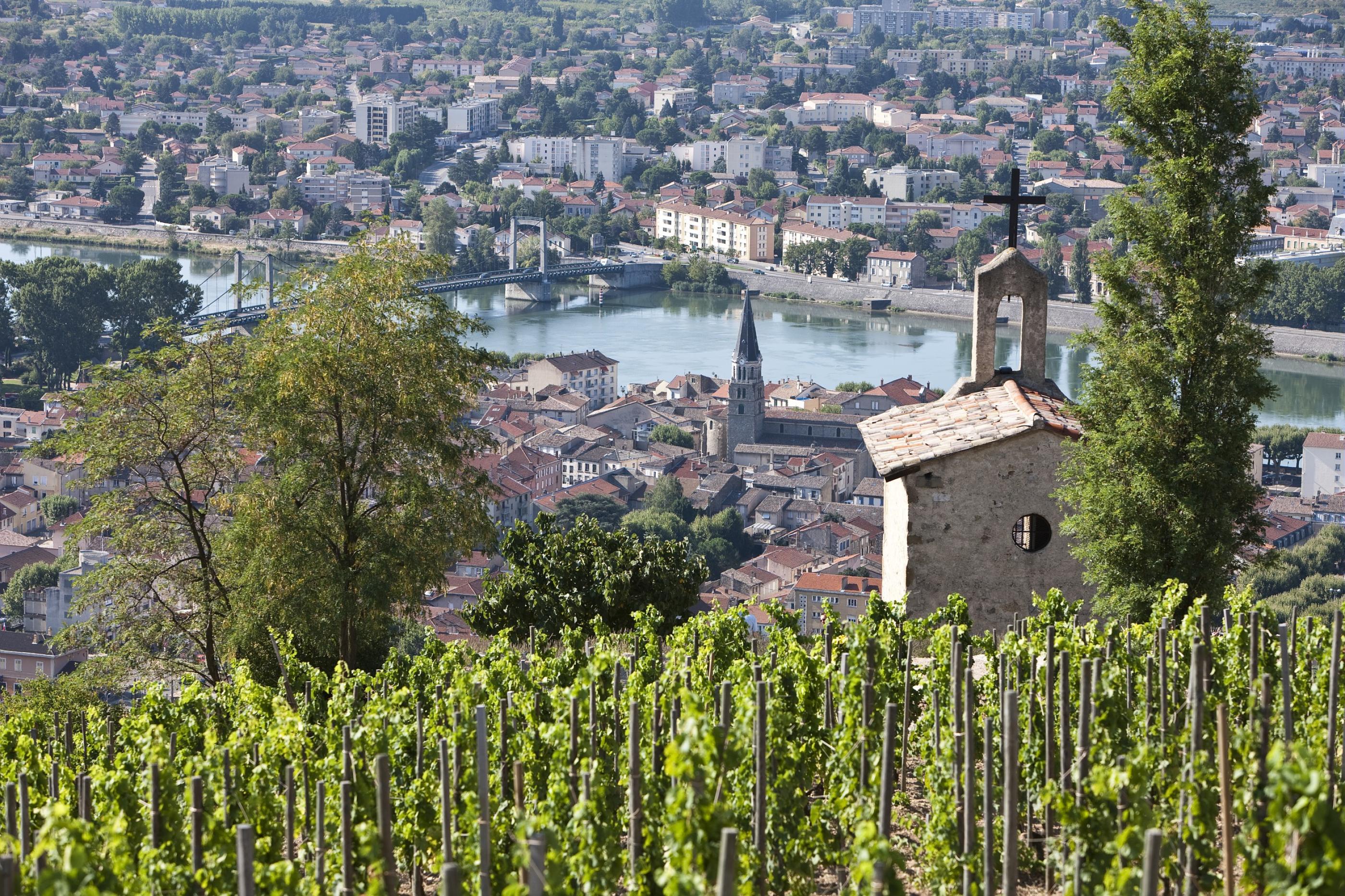 AOC Cru des Côtes du Rhône Hermitage | Vins Rhône