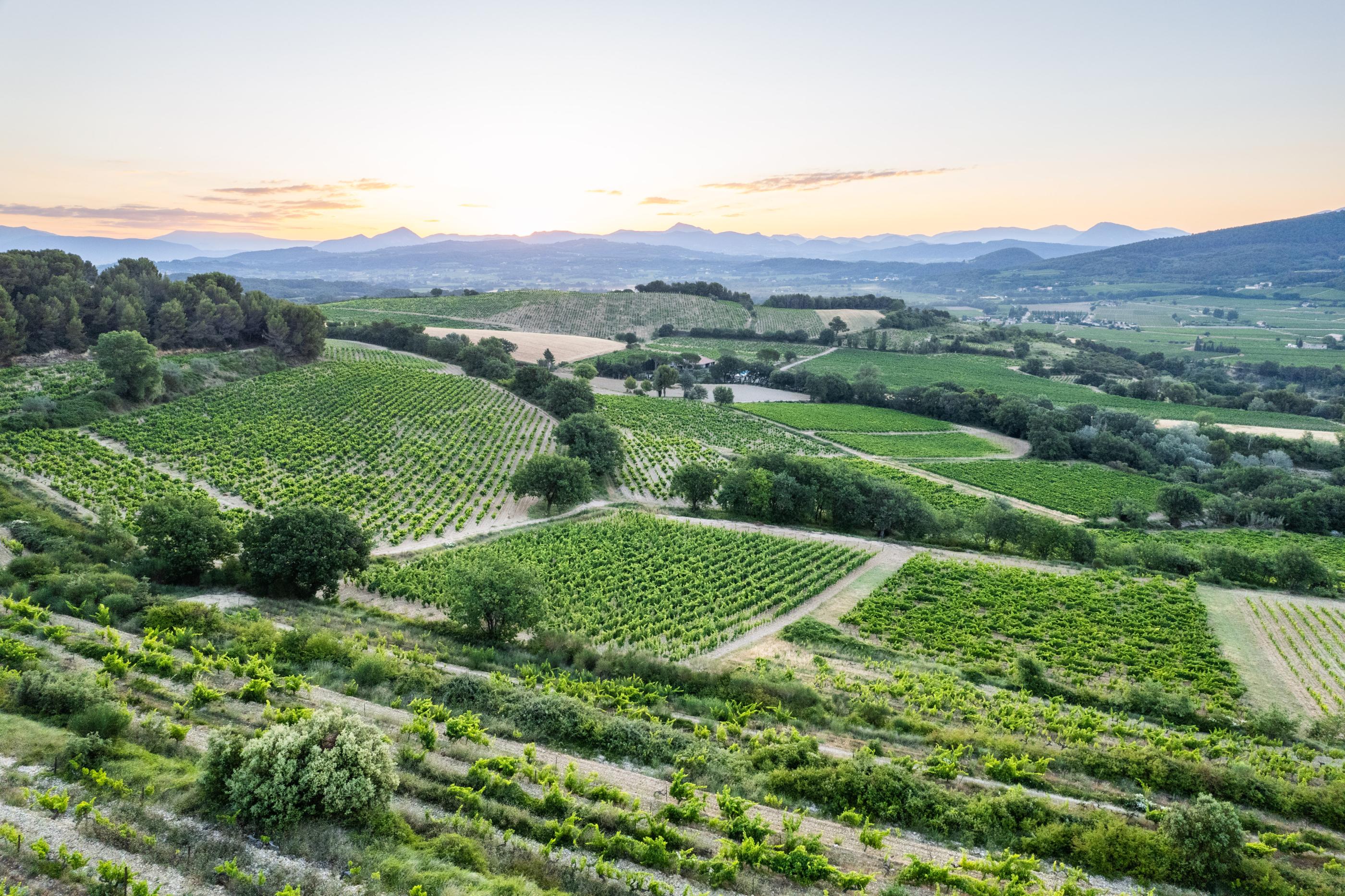 AOC Cru des Côtes du Rhône Rasteau | Vins Rhône