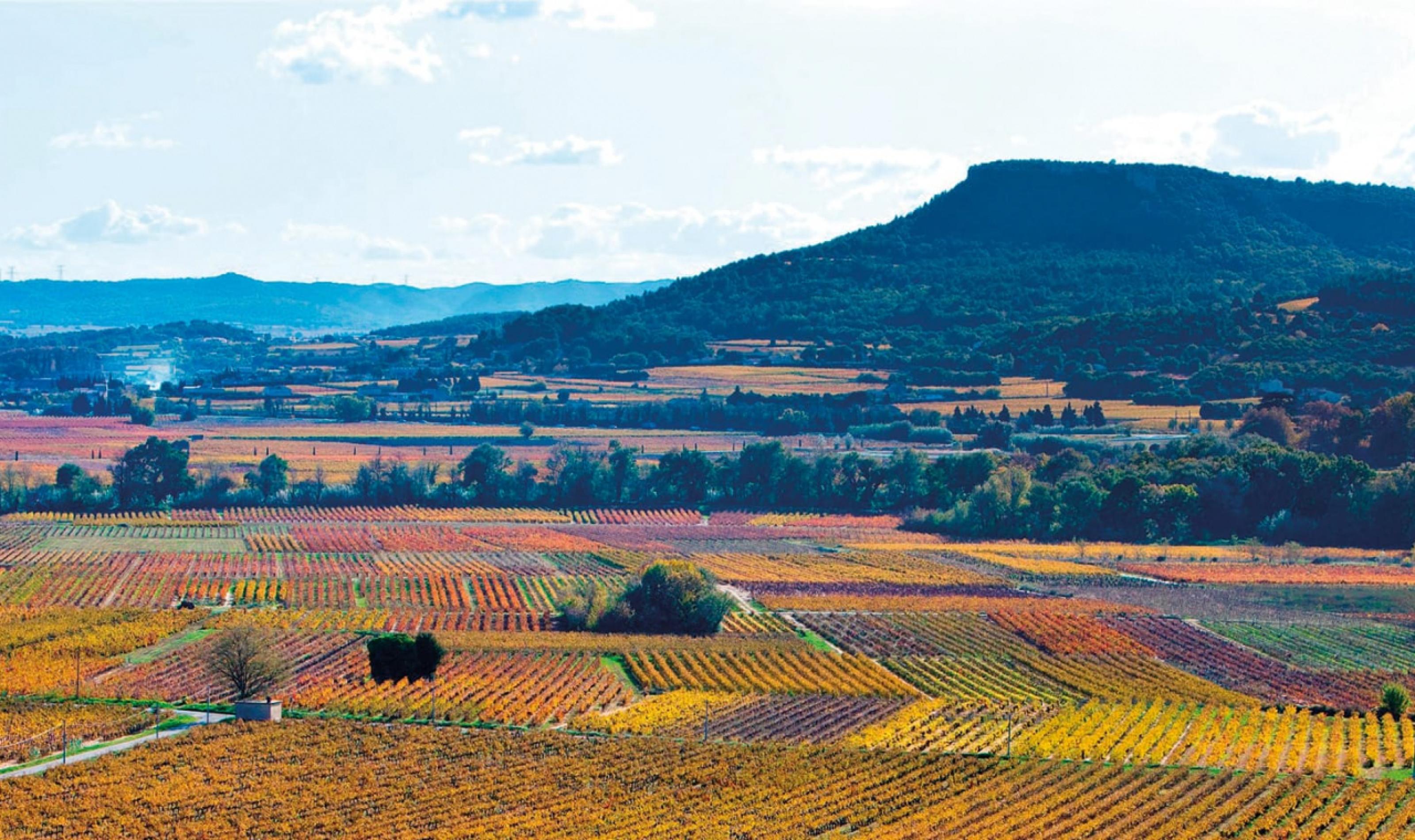 AOC Côtes du Rhône Villages Chusclan | Vins Rhône