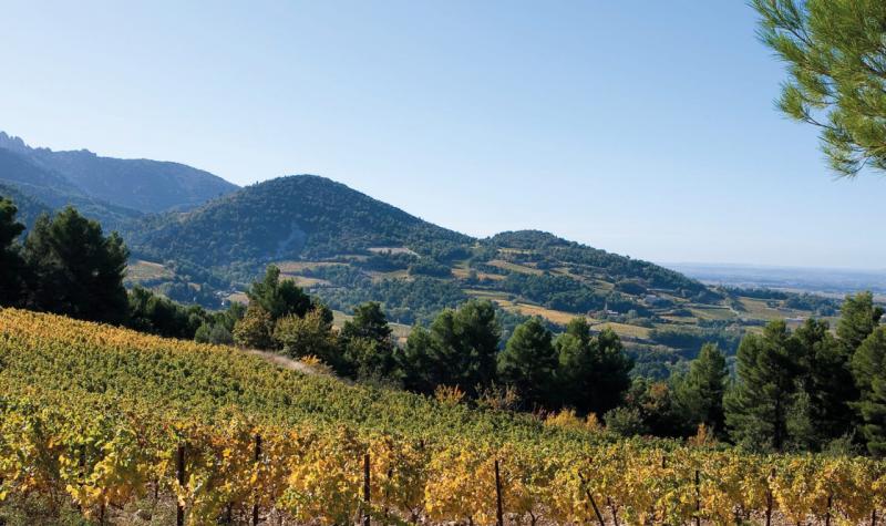 AOC Côtes du Rhône Villages Sablet | Vins Rhône