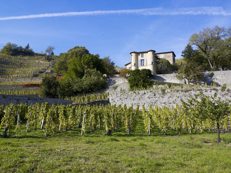 AOC Cru des Côtes du Rhône Château-Grillet | Vins Rhône